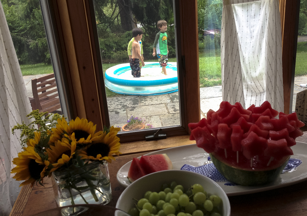 Frozen Watermelon Pops | Parents Need to Eat Too